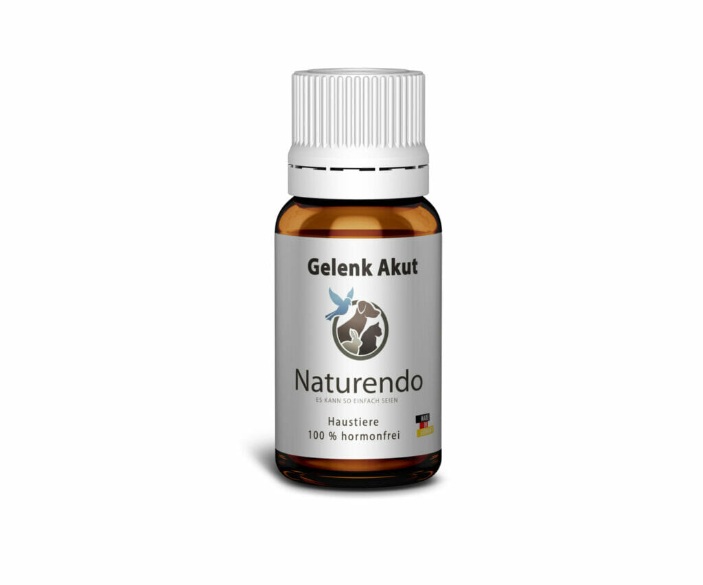 Gelenk Akut Globuli – Naturendo